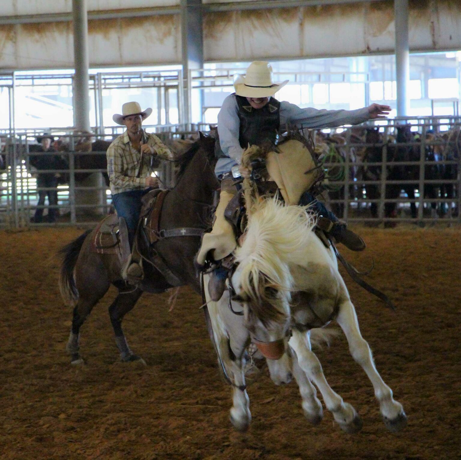 McNeese Rodeo Rules the Southern Region | McNeese State University