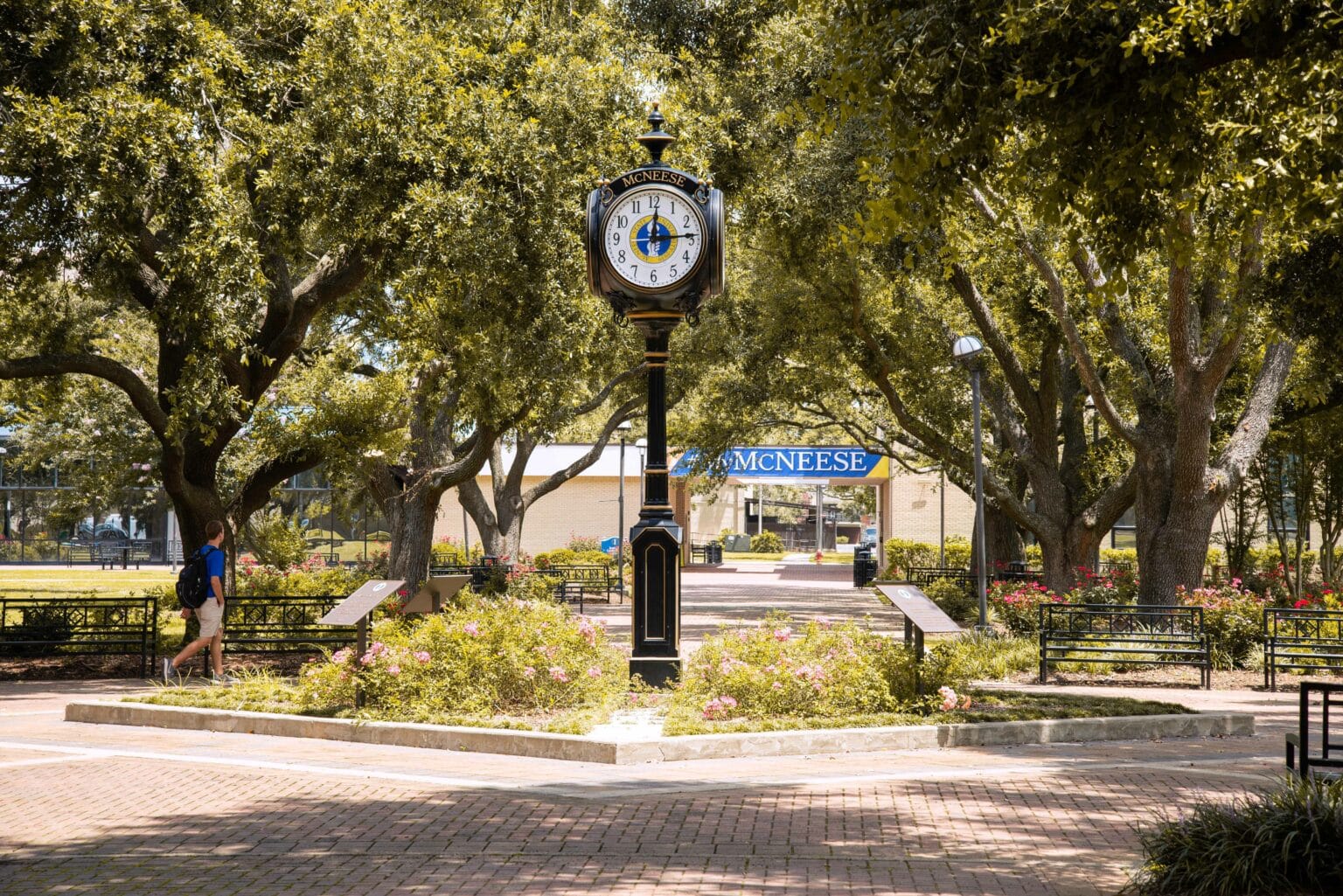McNeese Ranked as One of Top Universities in the South | McNeese State ...