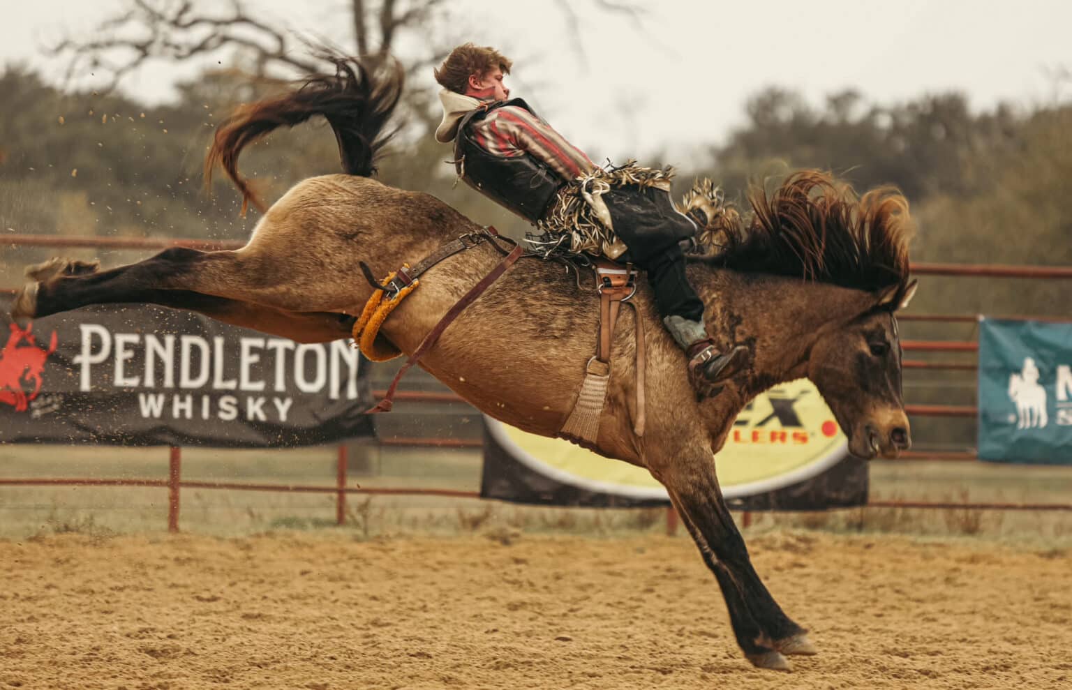 McNeese Men’s Rodeo Team Is Second in Region